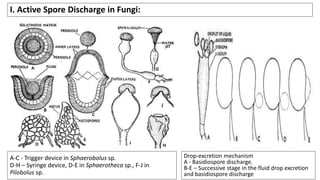 Aerobiology of Plant Pathogens........................pptx