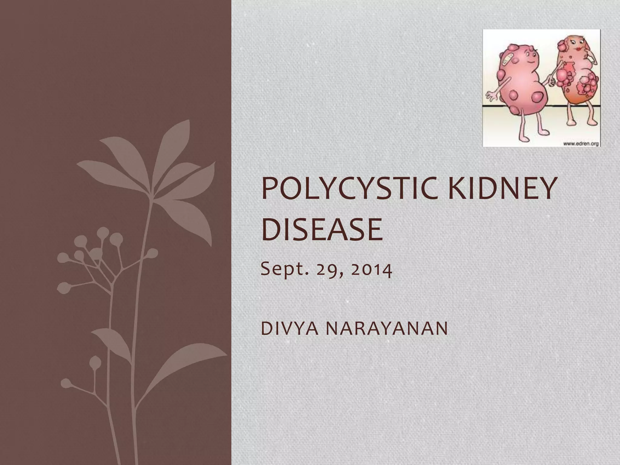 Polycystic Kidney Disease | PPTX