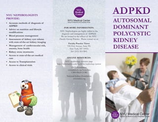 Pkd%20 Brochure | PDF | Diseases and Conditions | Medical Health