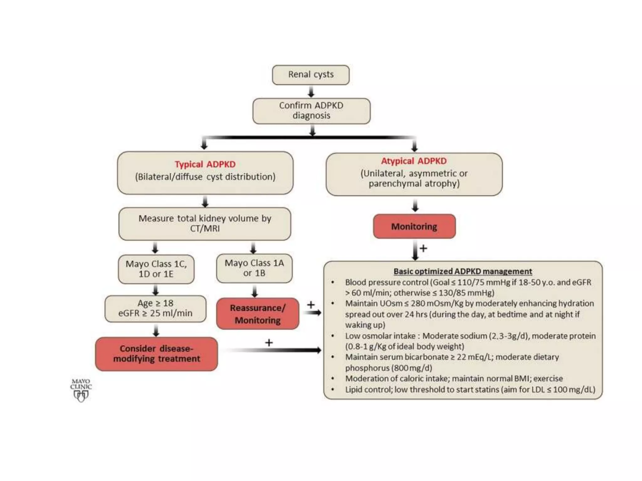 Polycystic Kidney Disease (PKD) | PPTX