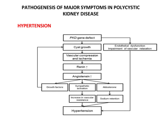 Polycystic Kidney Disease (PKD) | PPTX