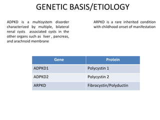 Polycystic Kidney Disease (PKD) | PPTX