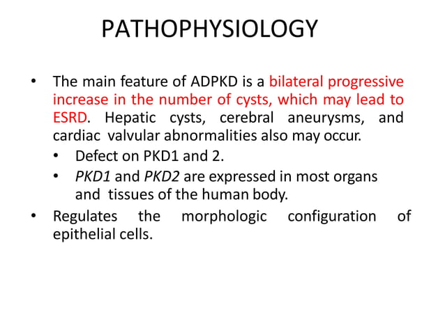 Polycystic Kidney Disease (PKD) | PPTX
