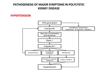 Polycystic Kidney Disease Pathophysiology