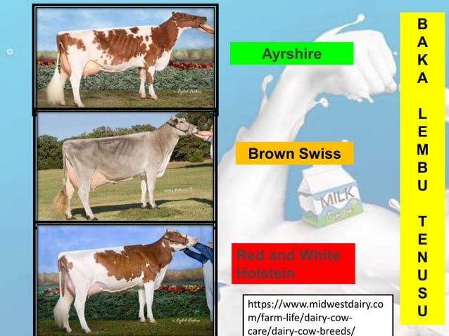 PKES3072 PROGRAM SUSU SEKOLAH 1 MALAYSIA | PPTX