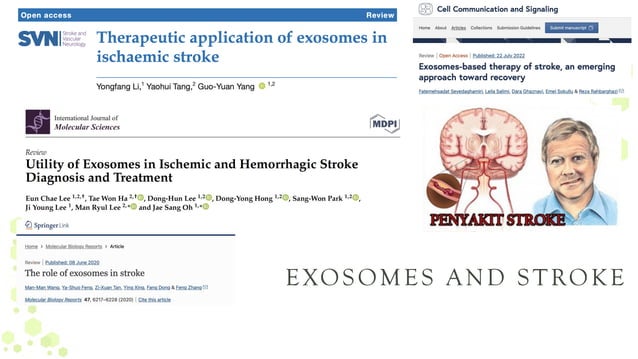 Exosome stem cell secretome which the best | PPTX