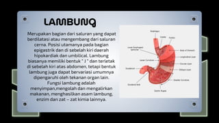 PKL II TEKNIK PEMERIKSAAN OMD KLINIS GERD.pptx