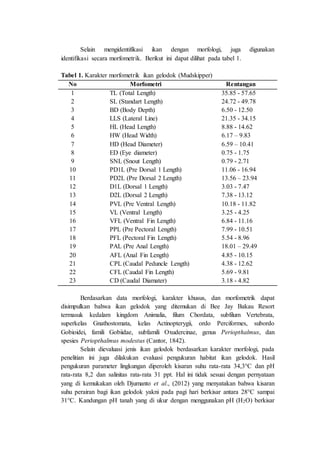 PKM AI: Potensi Jenis Ikan Gelodok (Mudskipper) dan PerannyaSebagai ...