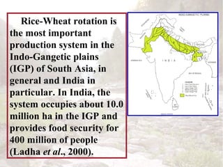 Effects of organic and inorganic inputs on phosphorus and potassium ...