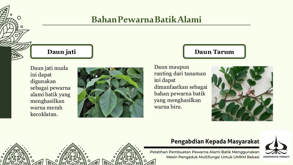 PKM Pewarna Batik Alami TA 2021_2022_Sally Cahyati_Proses Pewarnaan ...