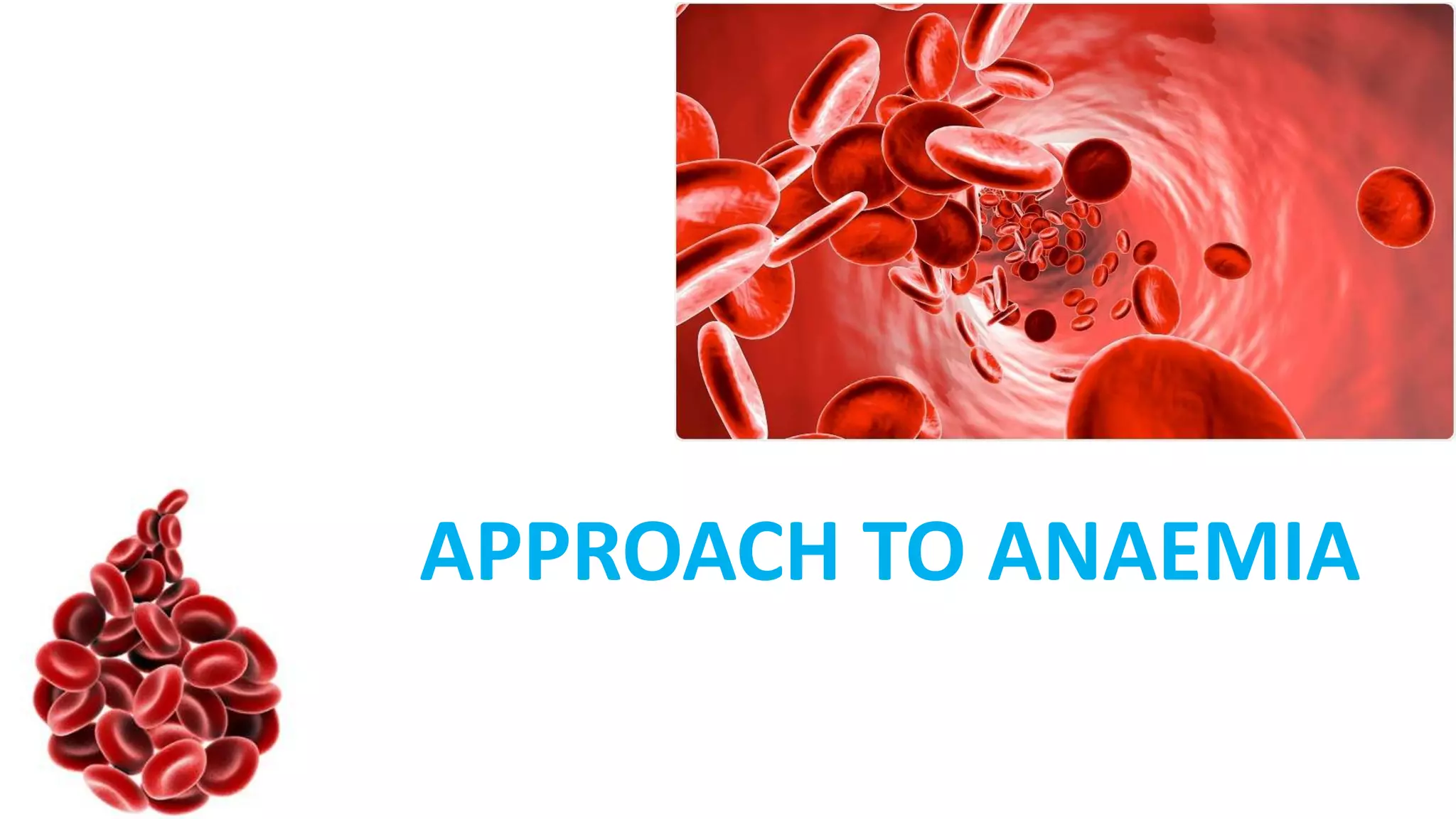 APPROACH TO ANAEMIA | PPTX