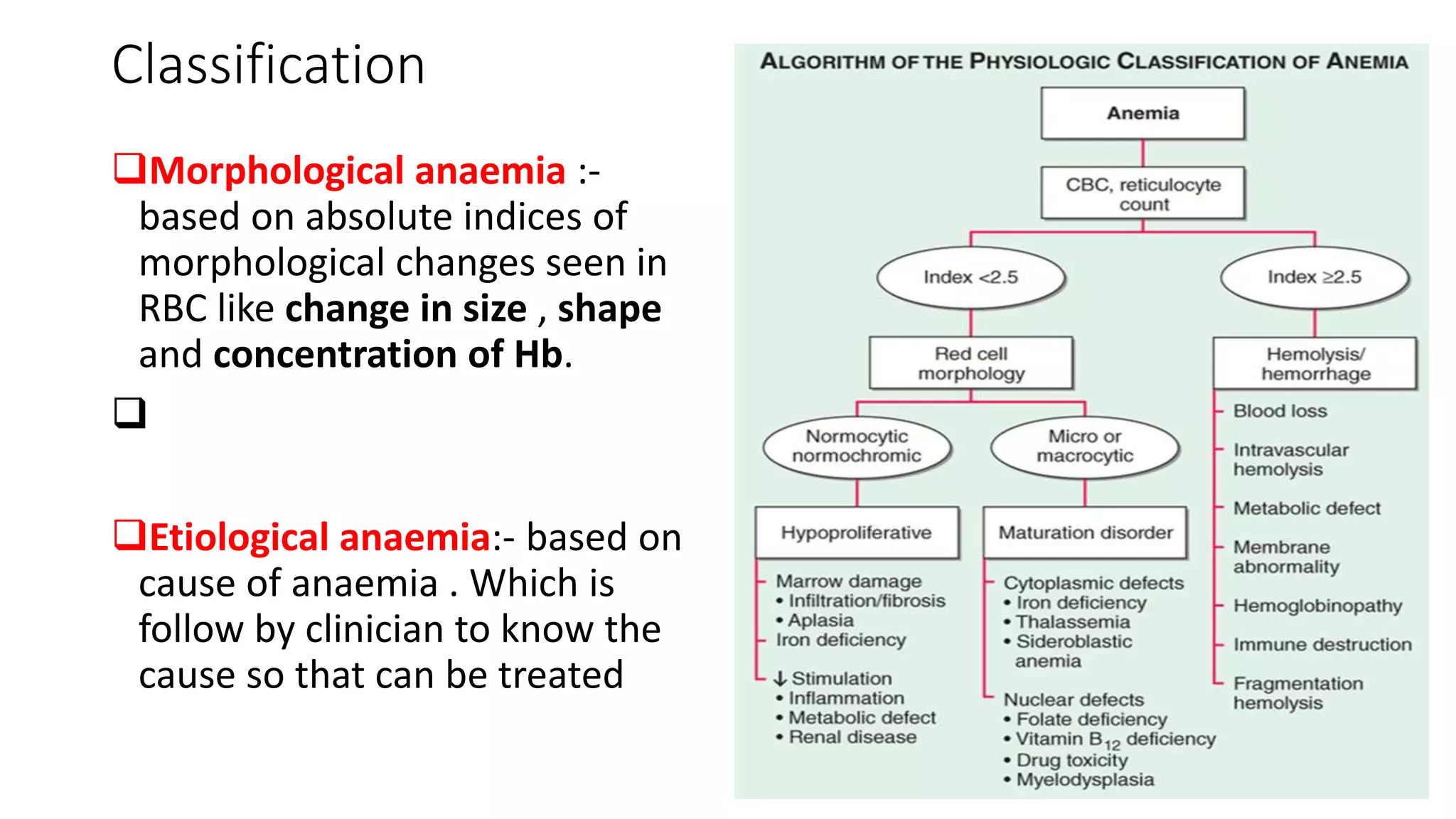 APPROACH TO ANAEMIA | PPTX