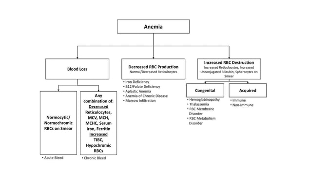 APPROACH TO ANAEMIA | PPTX