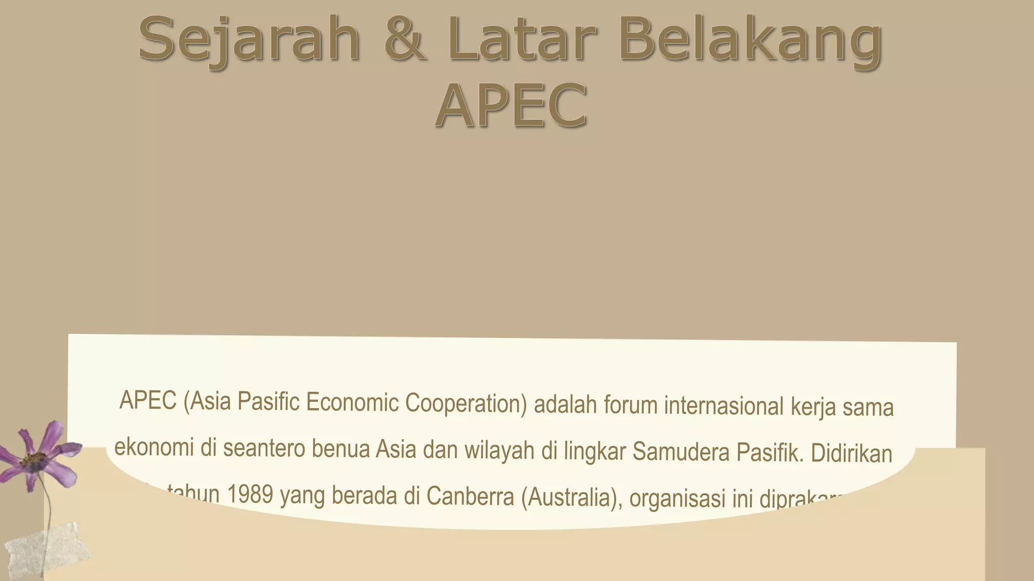 PKN ( APEC ).pptx