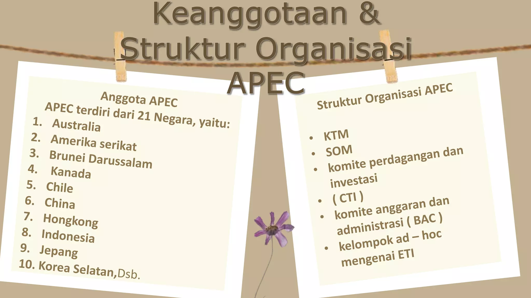 PKN ( APEC ).pptx
