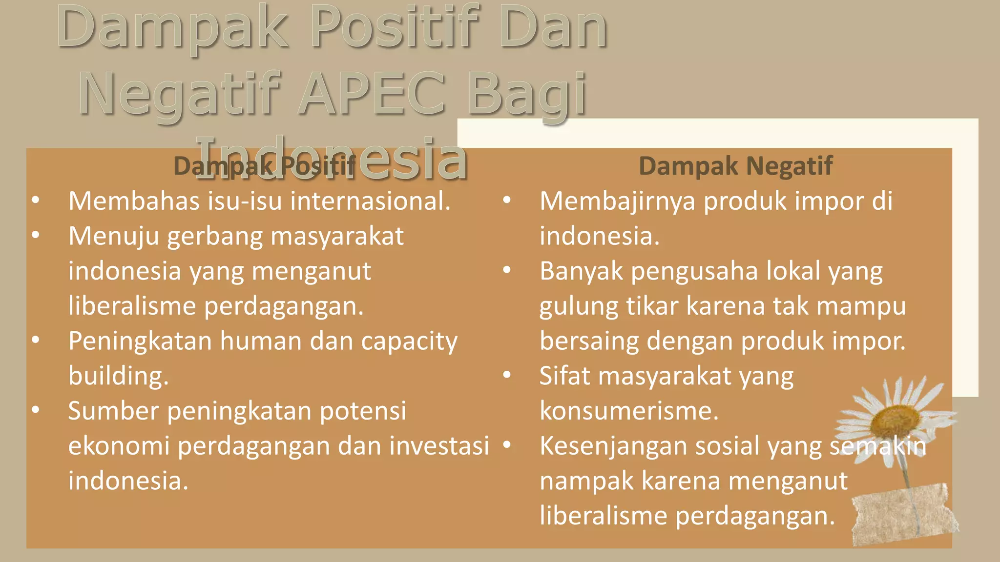 PKN ( APEC ).pptx