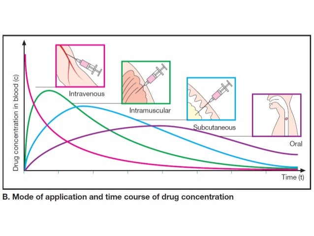 Pharmacokinetics / Biopharmaceutics - drug absorption