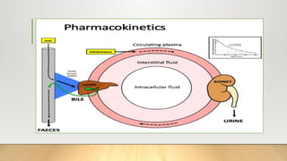 Pharmacokinetics and Toxicokinetic ,Detailed description on Drug ...