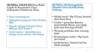 PKPM Bumdes Biereun (YUTI) .pptx