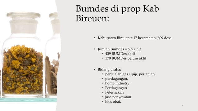 PKPM Bumdes Biereun (YUTI) .pptx