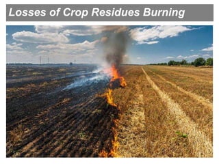 crop residue management in different crops .ppt