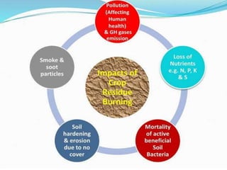crop residue management in different crops .ppt