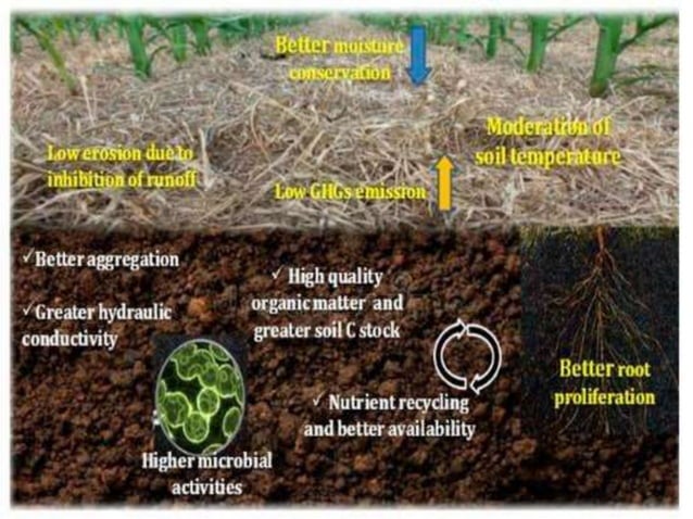 crop residue management in different crops .ppt