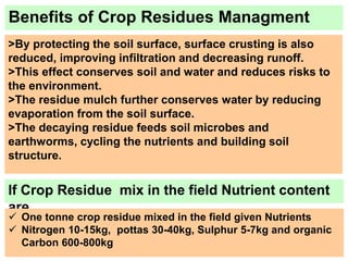 crop residue management in different crops .ppt