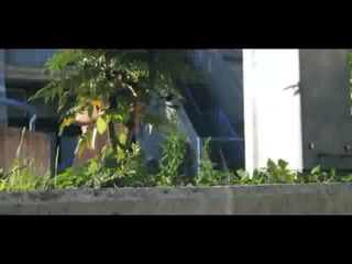 Pk presentationpowerpoint | PPT