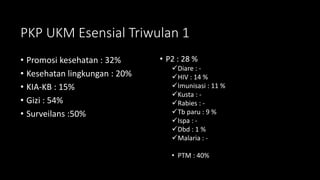 PKP TRIWULAN 1 PUSKESMas anjir serapat.pptx