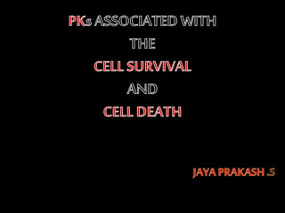 Pks associated with the cell survival and cell death | PPT