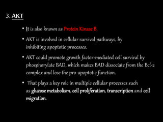 Pks associated with the cell survival and cell death | PPT
