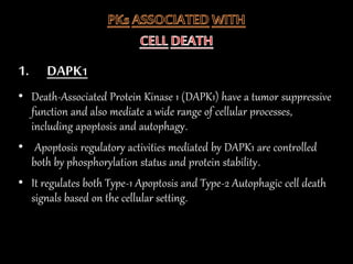 Pks associated with the cell survival and cell death | PPT