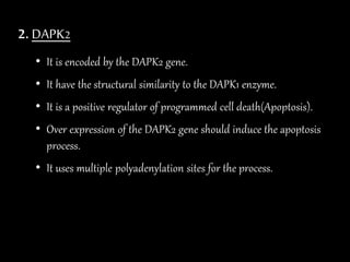 Pks associated with the cell survival and cell death | PPT