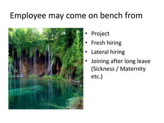 PKS Productive Bench | PPT