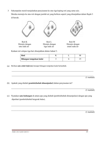 Sains Tahun 5 | DOCX