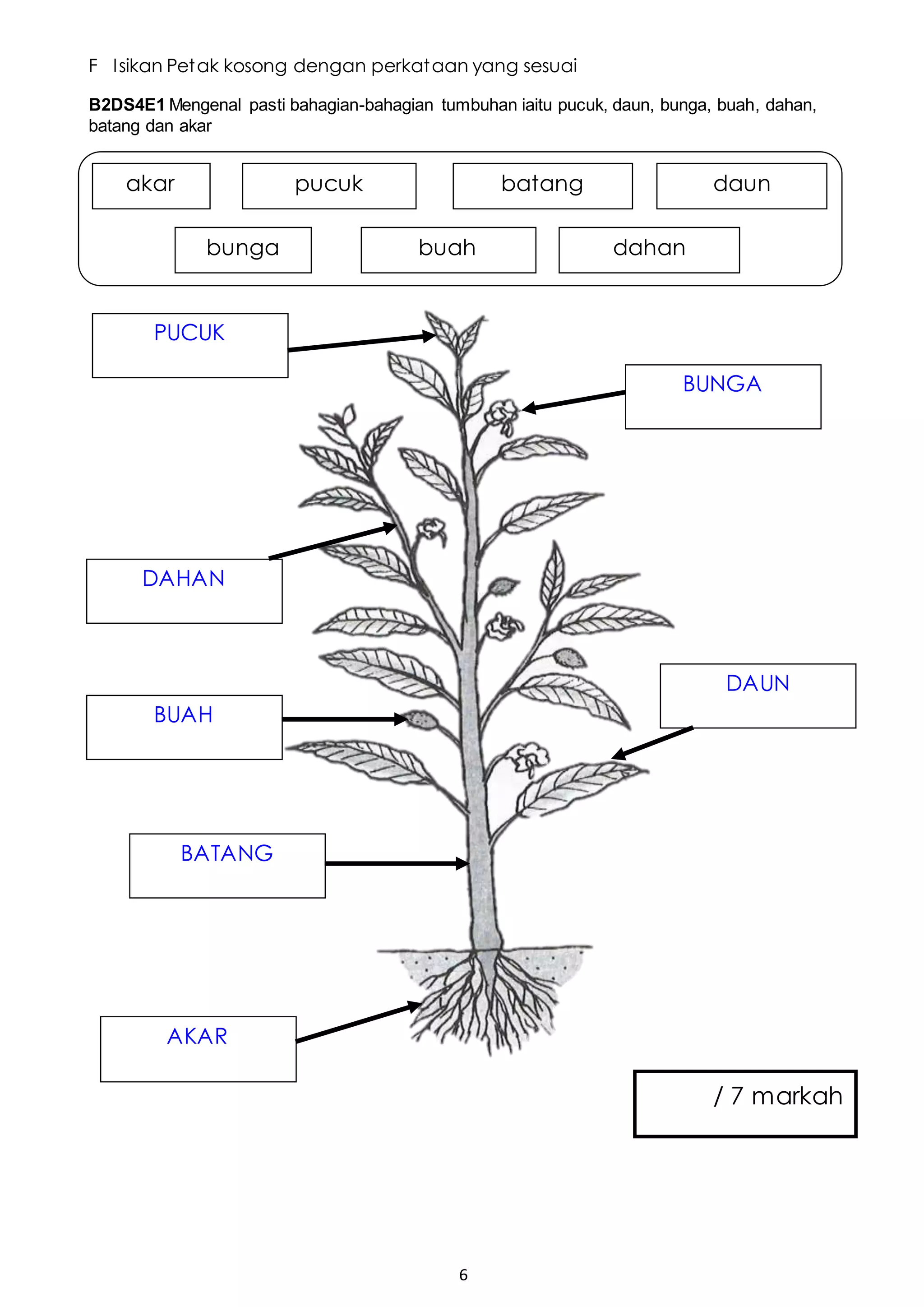 Pksr 1 dst t1 skema | PDF