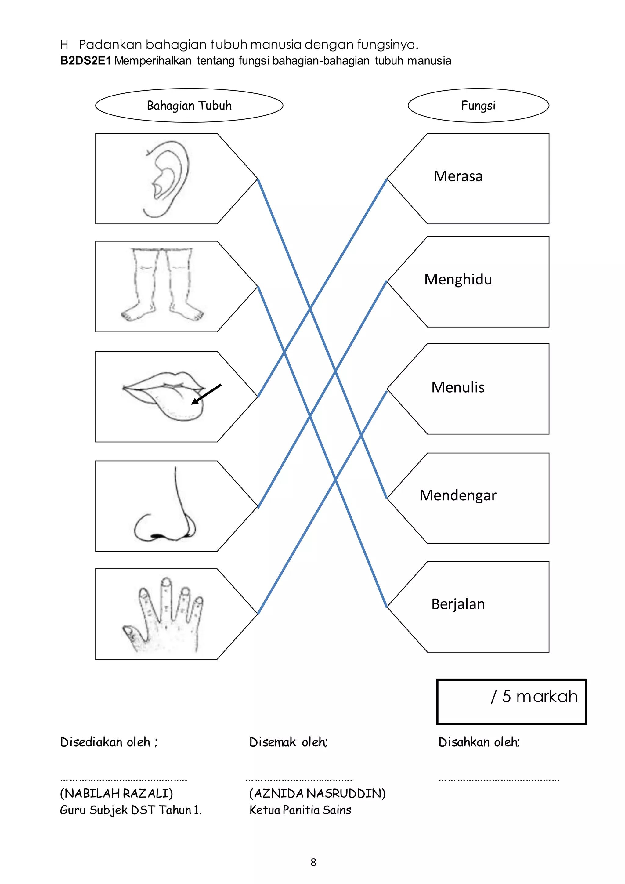 Pksr 1 dst t1 skema | PDF