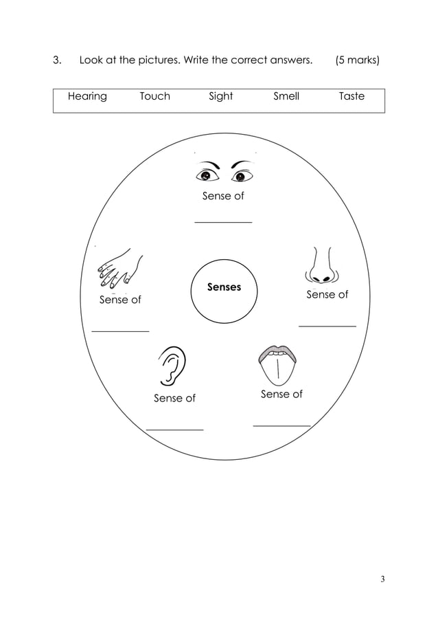 Science Year 1 PKSR 1 Paper 2 2017 | PDF | Food & Drink