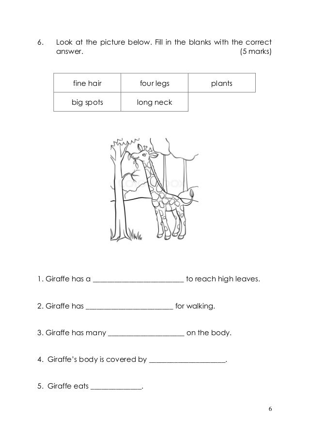Sains Dlp Science Year 1 Exam Paper - Riset