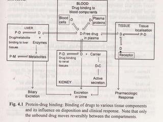 Drug Interactions and protein drug binding interactions | PDF