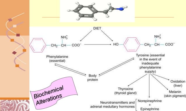 PKU-biochemical genetic disorder- 19.1.2023.ppt