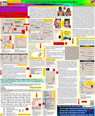 Pku concept map dr-kumar-ponnusamy-biochemistry-genetics-usmle ...