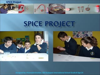 Spies project. | PPS | Physics | Science