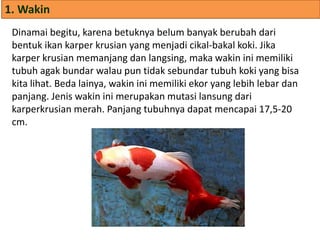 Pkwu budidaya ikan hias - ikan mas koki | PPTX