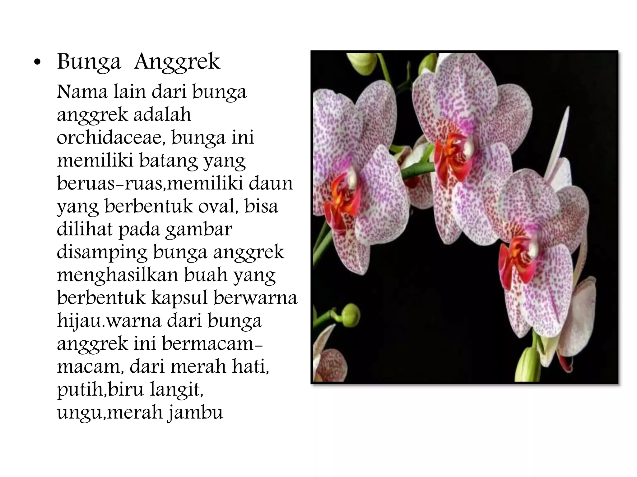 tanaman bunga hias | PPTX