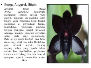 tanaman bunga hias | PPT