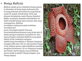 tanaman bunga hias | PPT