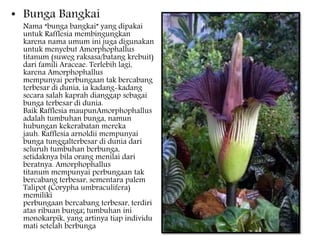 tanaman bunga hias | PPT