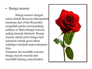 tanaman bunga hias | PPT